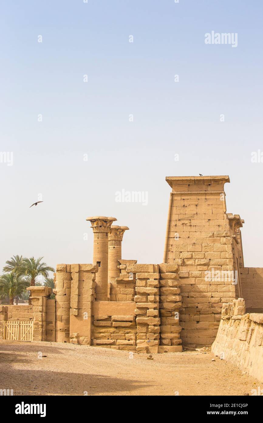 Nectanebo pillar hi-res stock photography and images - Alamy