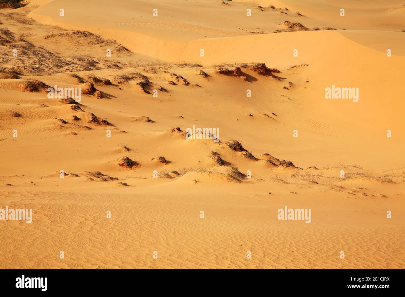 Dunes near Mui Ne. Vietnam Stock Photo - Alamy
