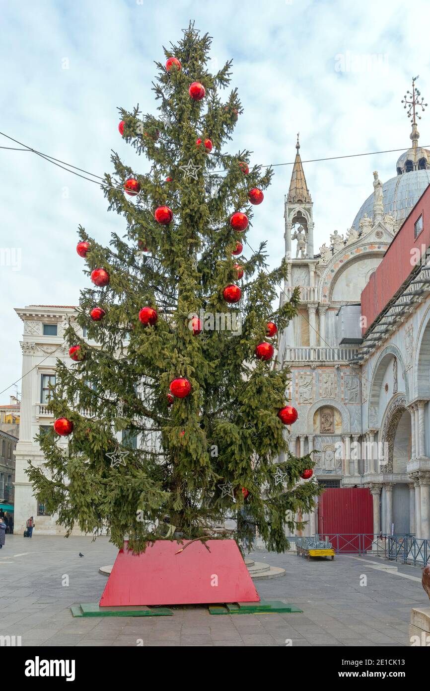 Venice, Italy - January 9, 2017: Big Christmas Tree at San Marco Square ...