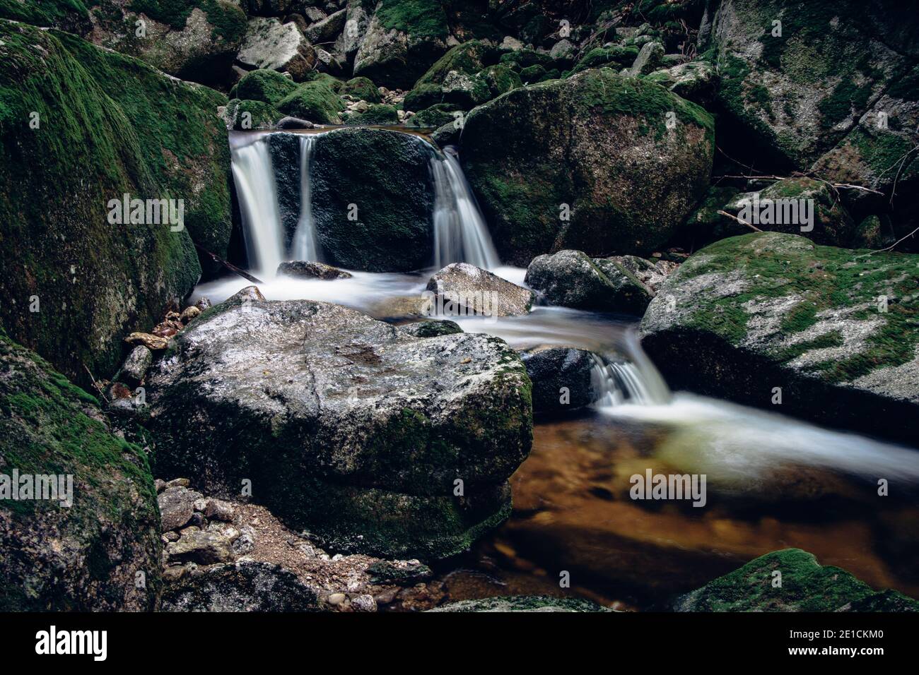 Beautiful and quiet environment on the river Jedlova in the Jizera ...