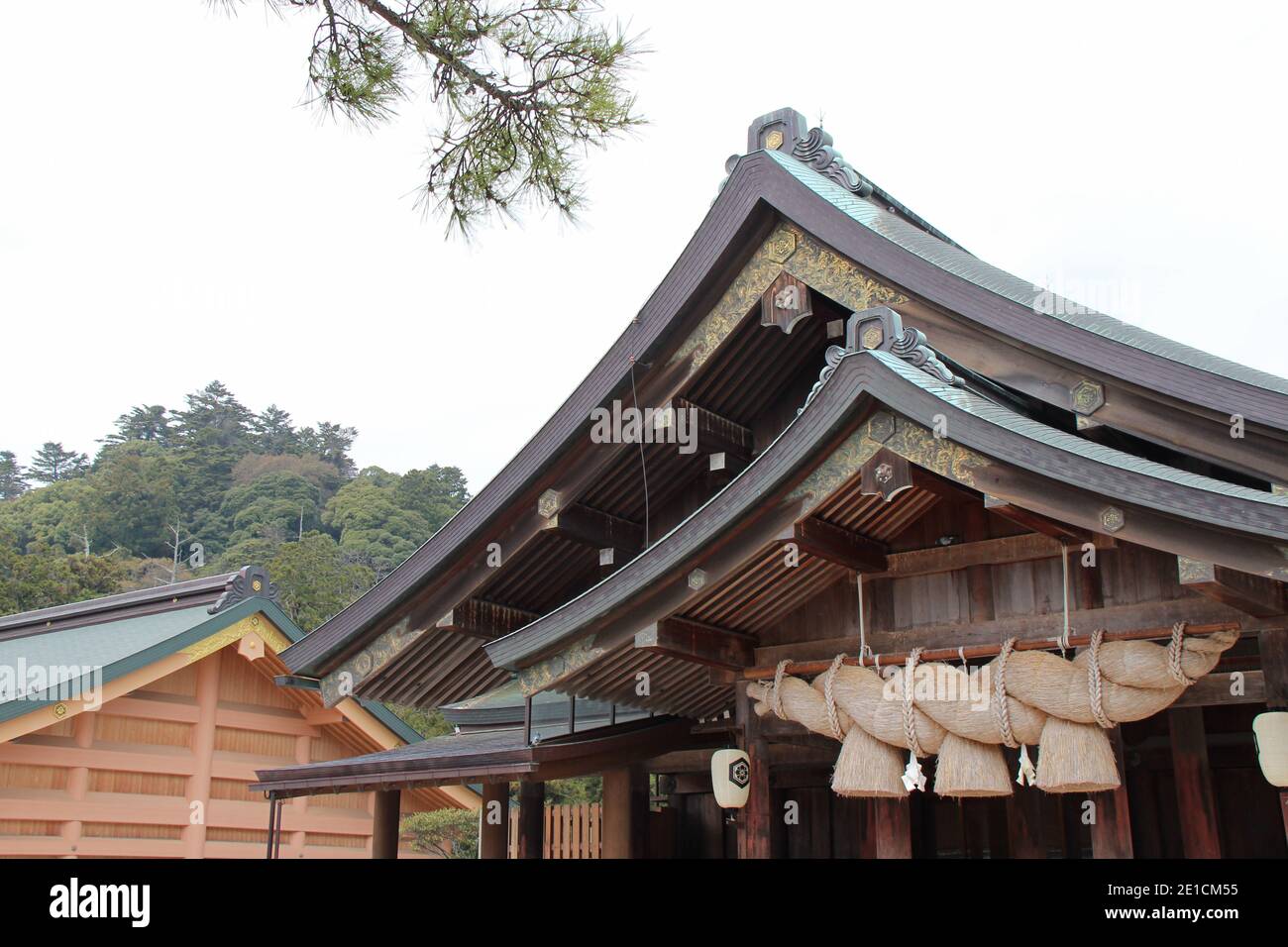 shinto shrine (izumo-taisha) in izumo (japan Stock Photo - Alamy