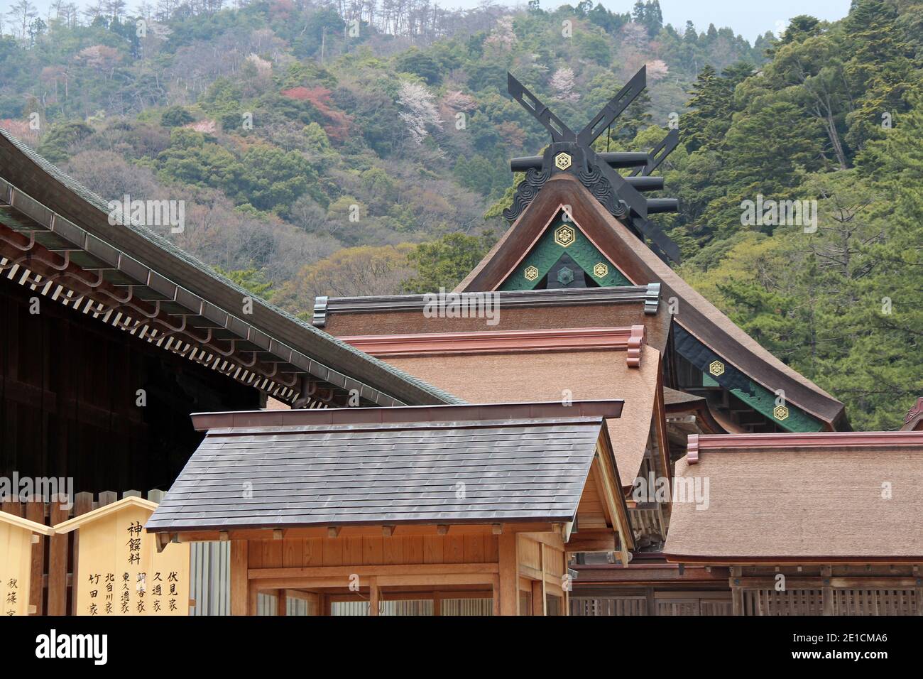 shinto shrine (izumo-taisha) in izumo (japan Stock Photo - Alamy