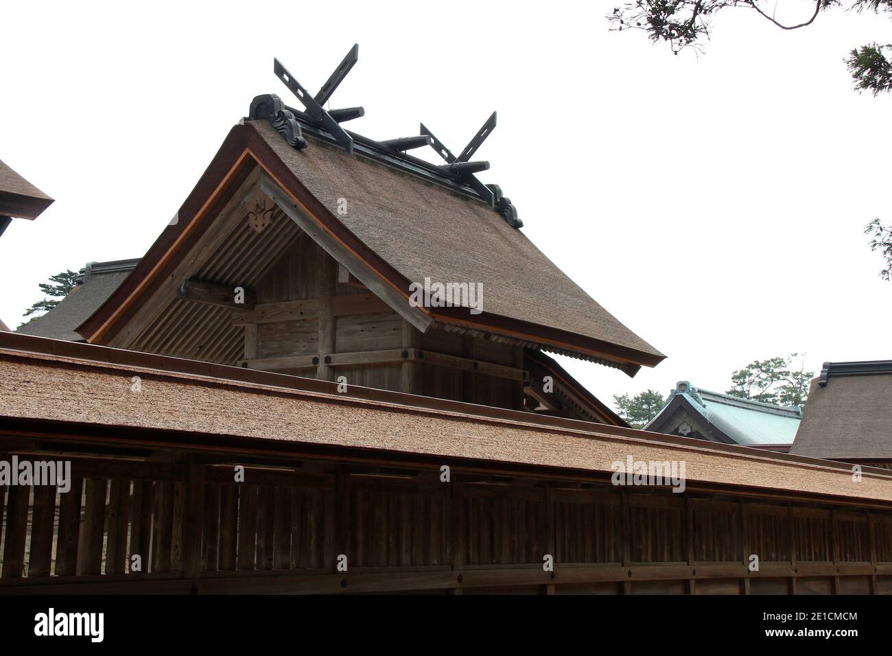 shinto shrine (izumo-taisha) in izumo (japan Stock Photo - Alamy
