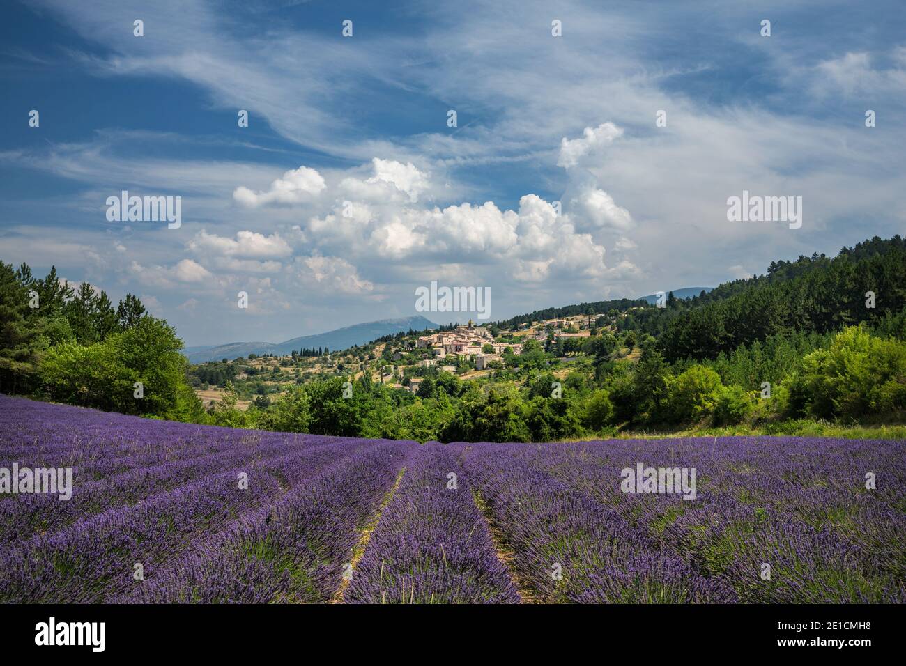 Lavender fields and a hilltop town in Provence, France Stock Photo - Alamy