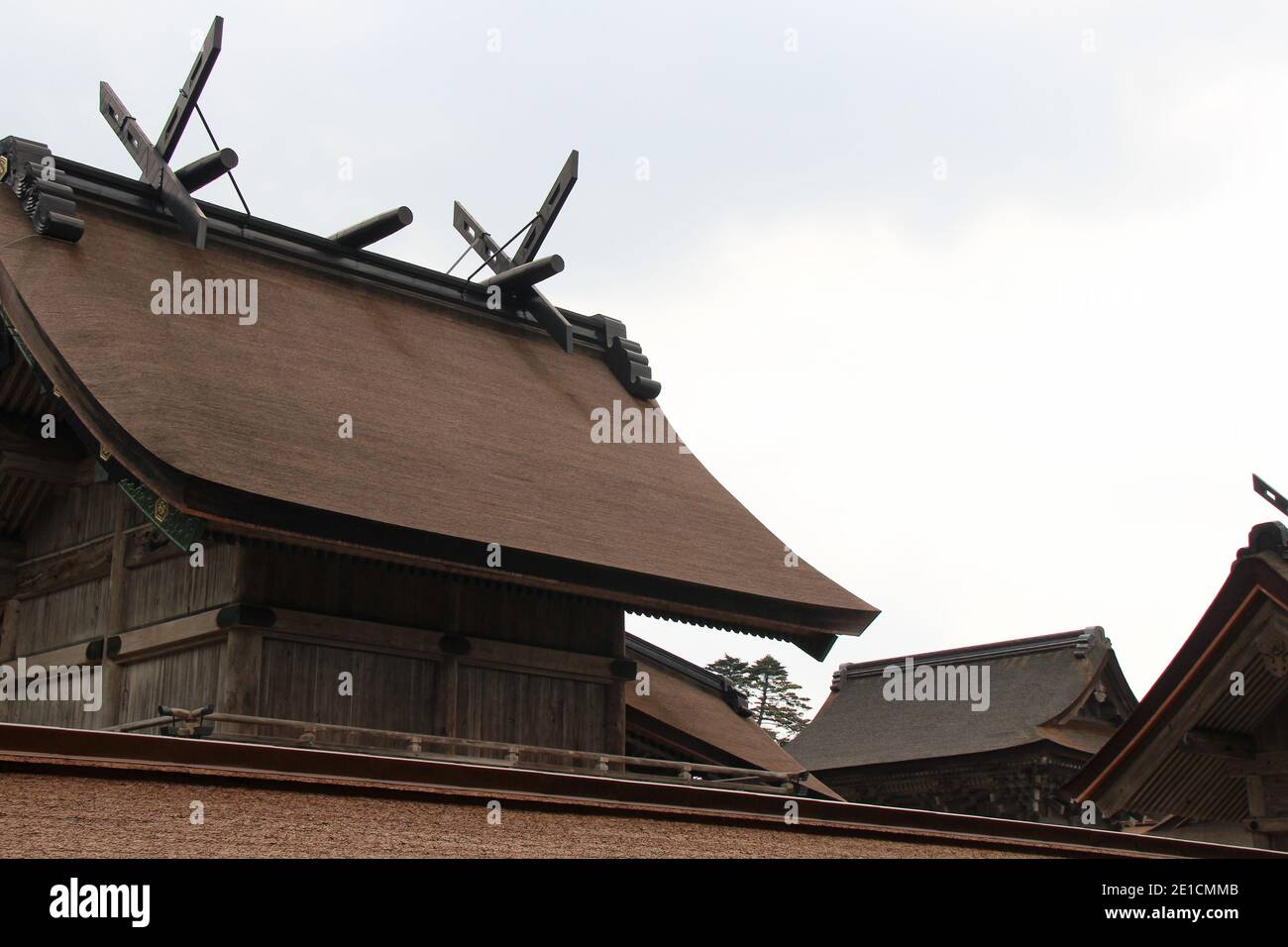 shinto shrine (izumo-taisha) in izumo (japan Stock Photo - Alamy