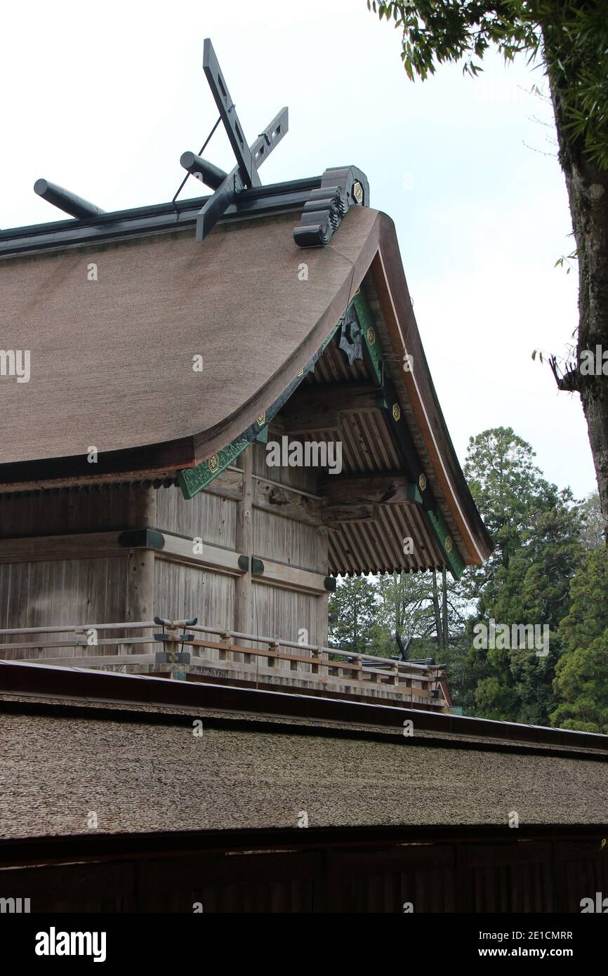 shinto shrine (izumo-taisha) in izumo (japan Stock Photo - Alamy