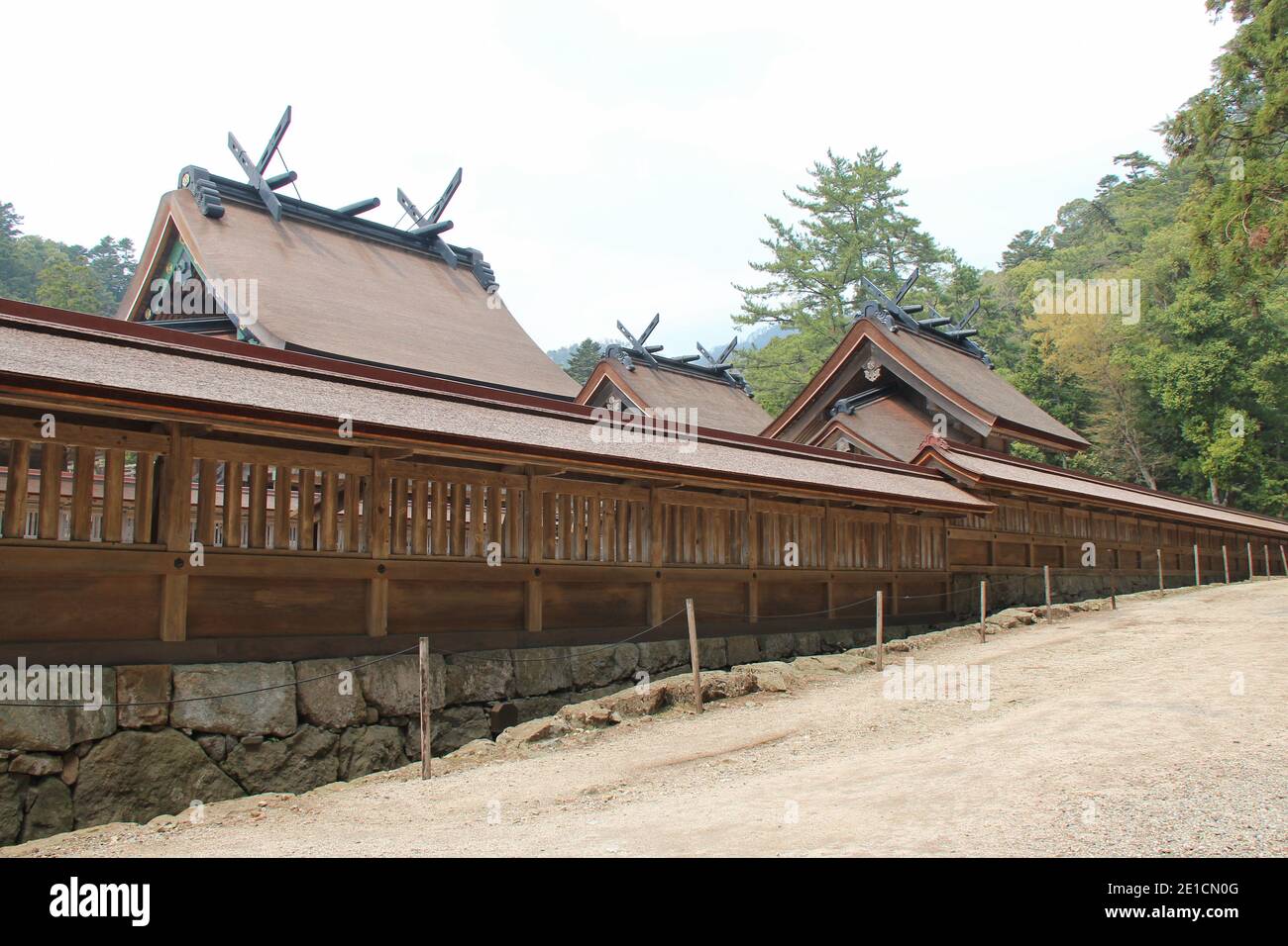 shinto shrine (izumo-taisha) in izumo (japan Stock Photo - Alamy