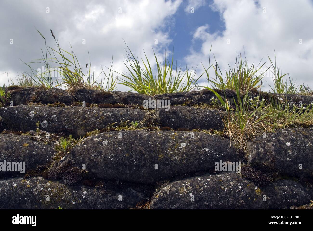 Original sandbags replaced by concrete ones at the "Trench of Death ...