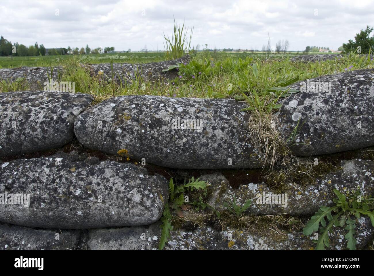 View toward the German lines from the “Trench of Death,” a preserved ...