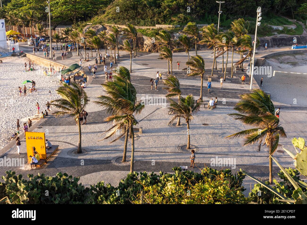Beautiful landscape of coconut palm trees in Arpoador, Ipanema Beach ...