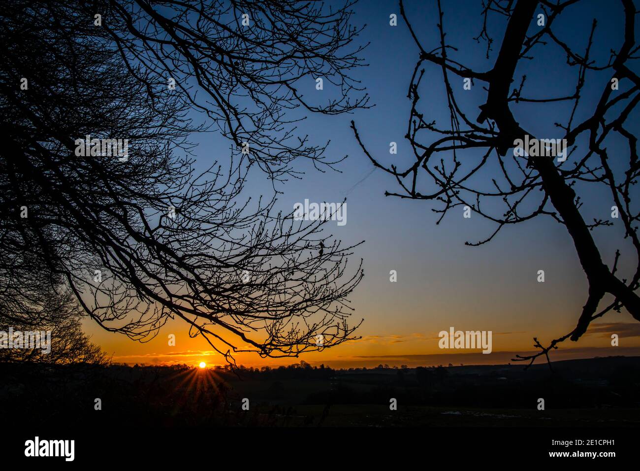 Woodland winter sunset landscape in Staffordshire, England Stock Photo ...