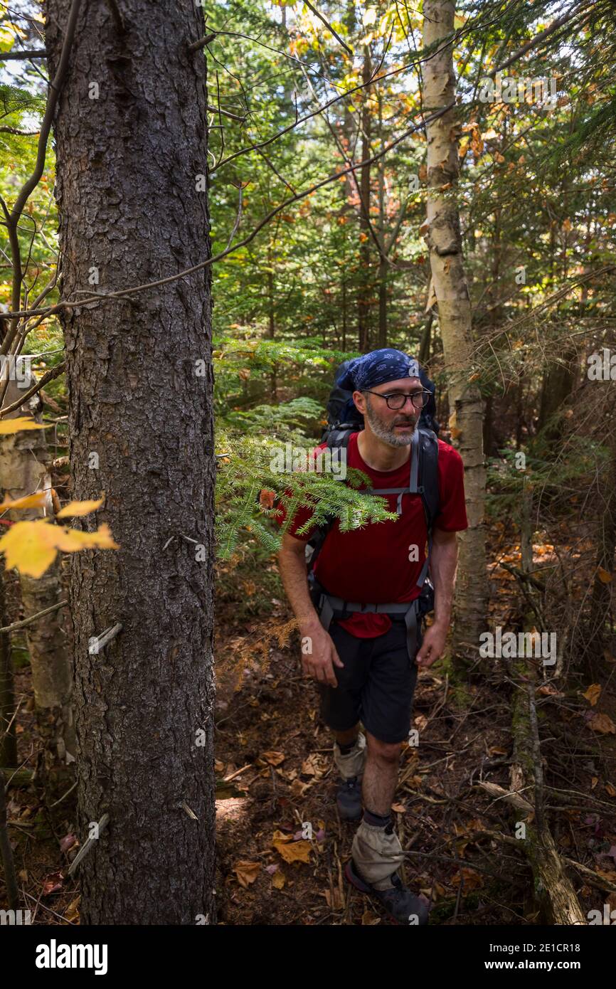 Bushwhacking hi-res stock photography and images - Alamy