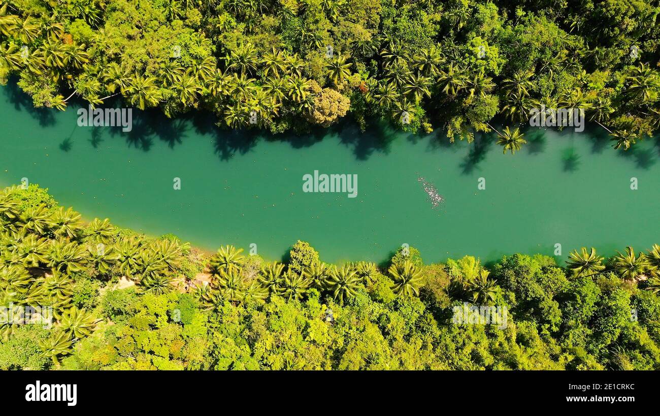 Aerial view of Loboc River in tropical green jungle. Bohol, Philippines ...