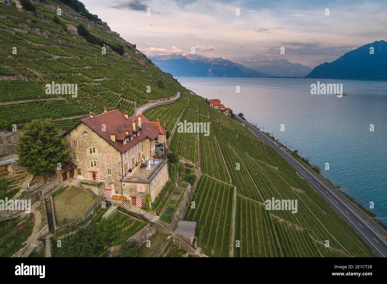 Mountain side with fields, Puidoux, Vaud, Switzerland Stock Photo - Alamy