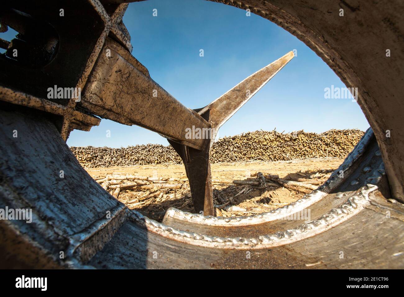 Boreal forest trees clear felled to make way for a new tar sands mine ...