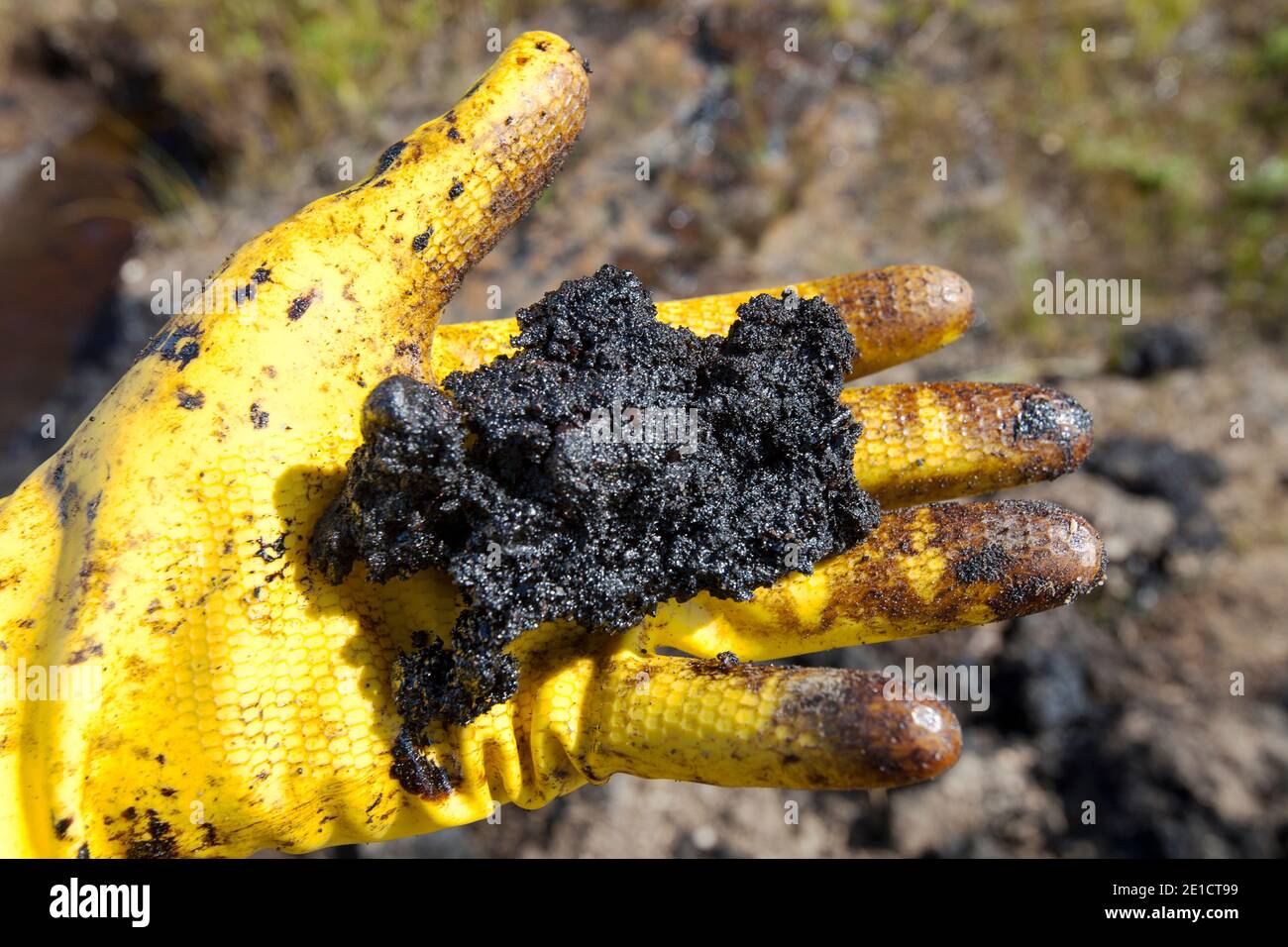 A hand full of tar sand. The tar sands are the largest industrial ...