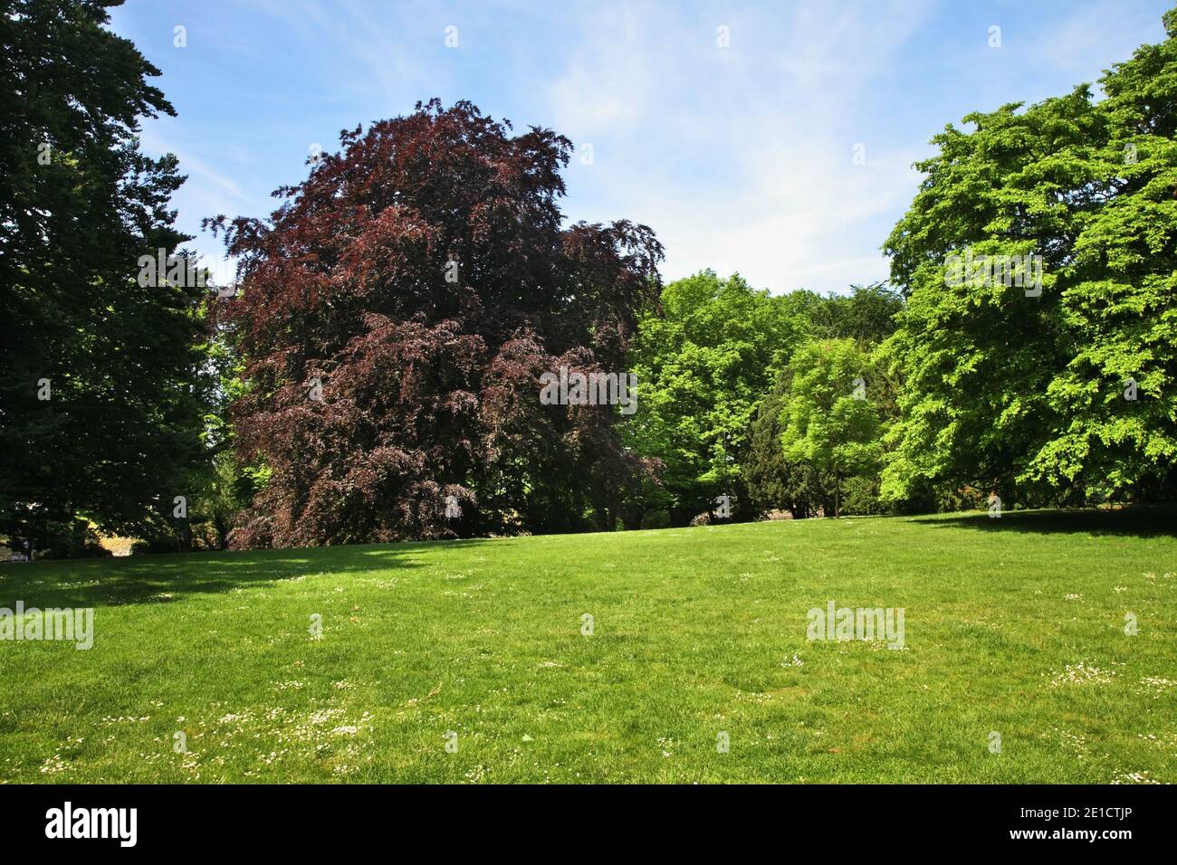 Kungsparken park in Malmo. Sweden Stock Photo - Alamy