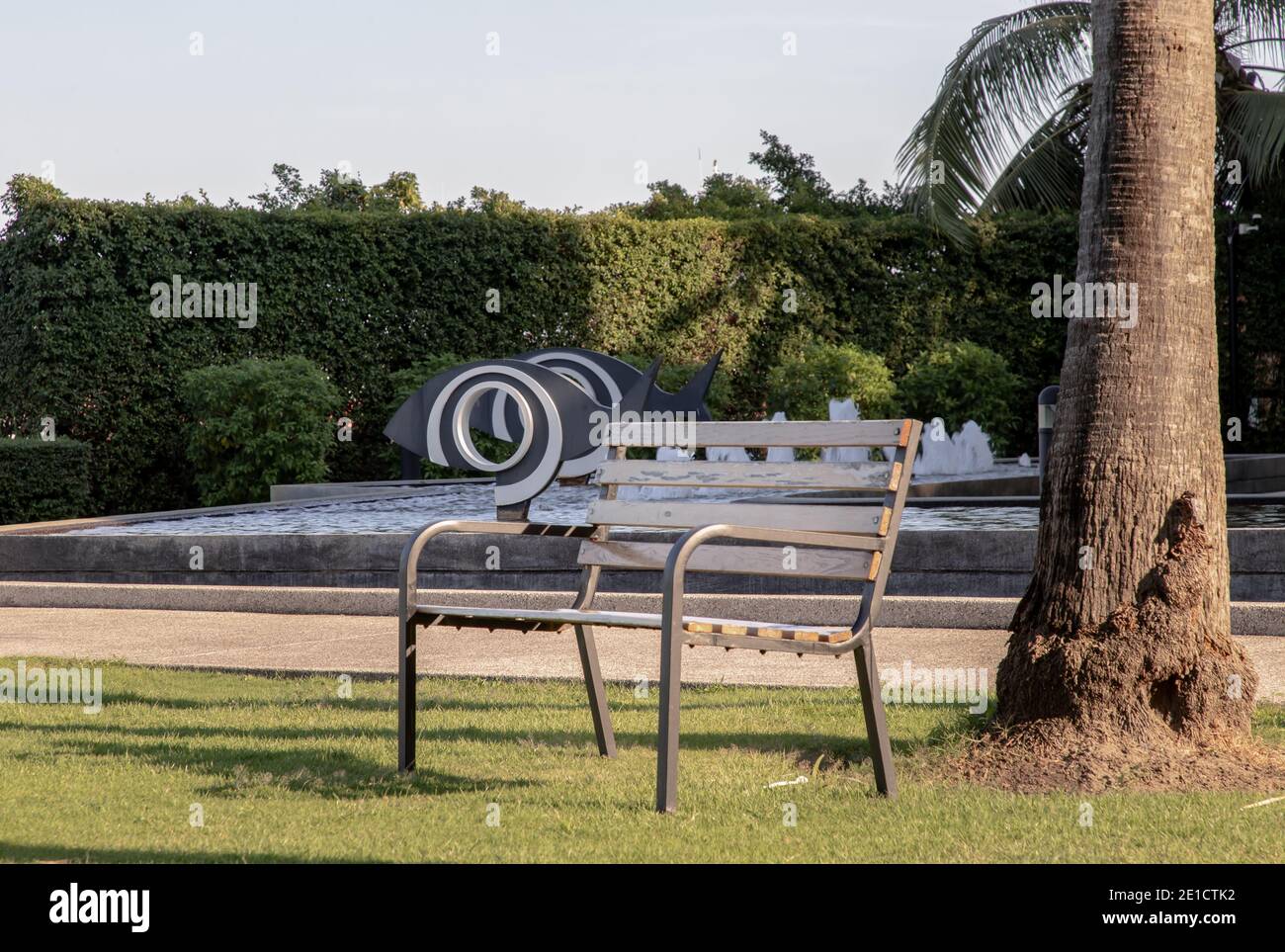 Wooden benches on grass floor in a shady area of the park. Seating and ...