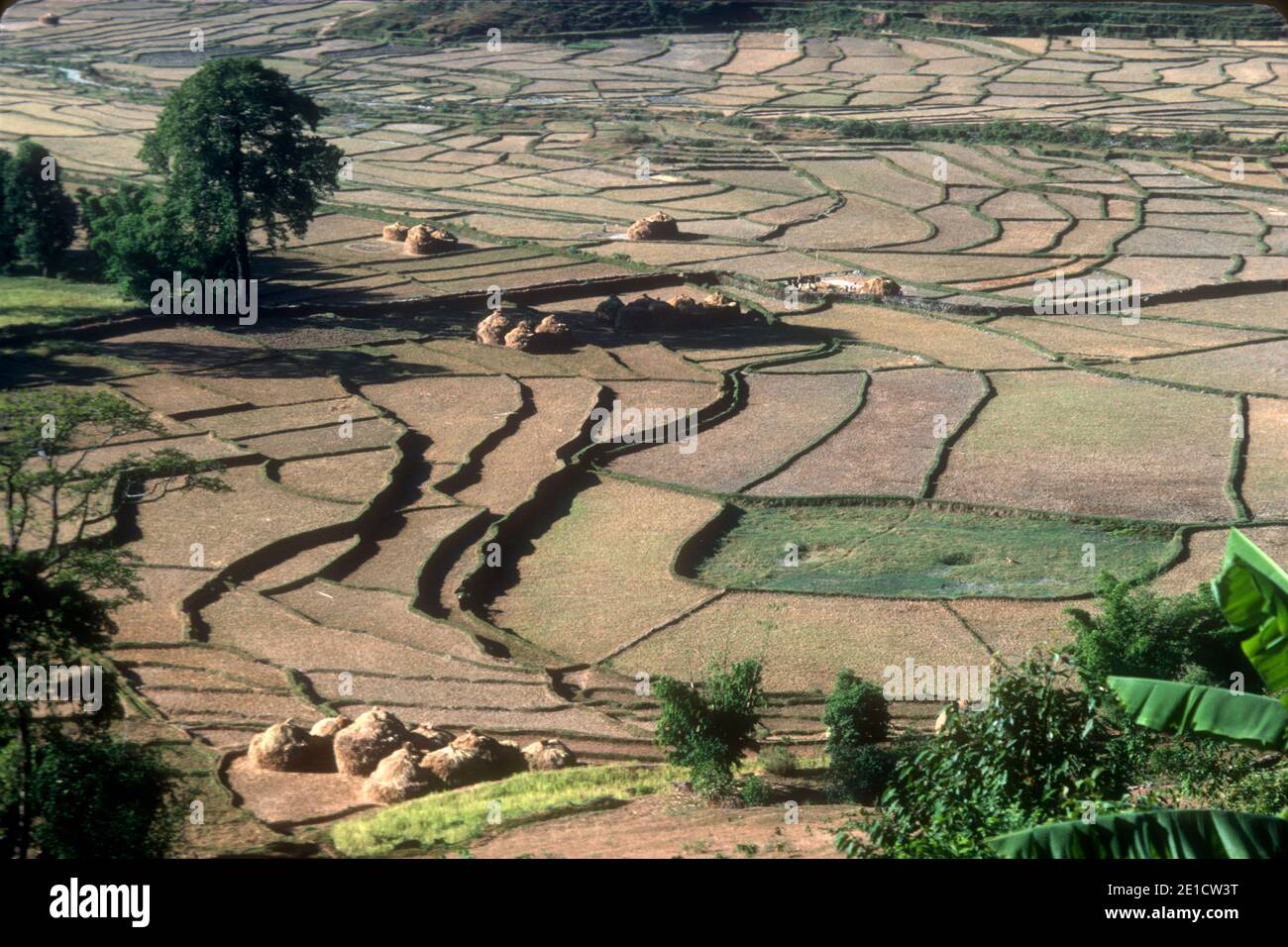 Runoff soil erosion hi-res stock photography and images - Alamy