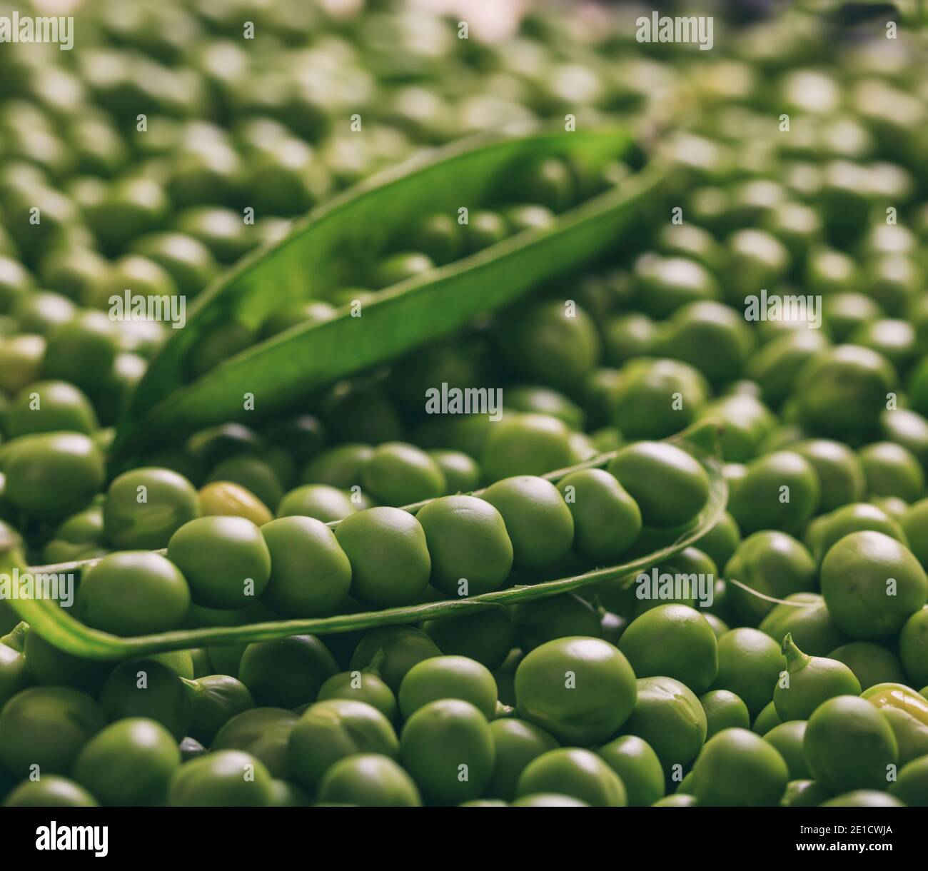 Proper harvesting hi-res stock photography and images - Alamy
