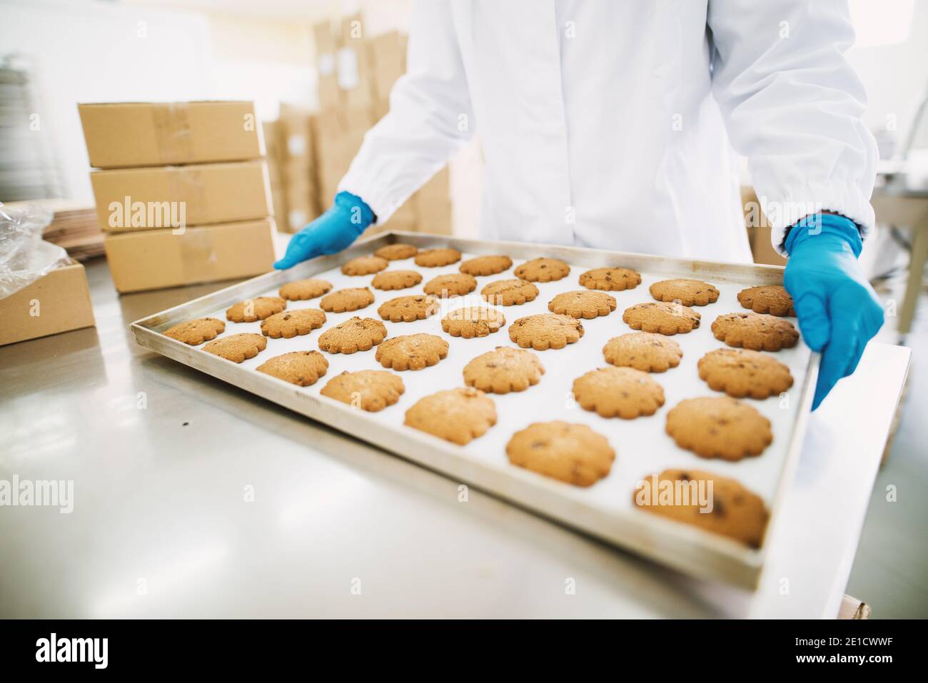 Cookies manufacturing process automated cookie hi-res stock photography ...