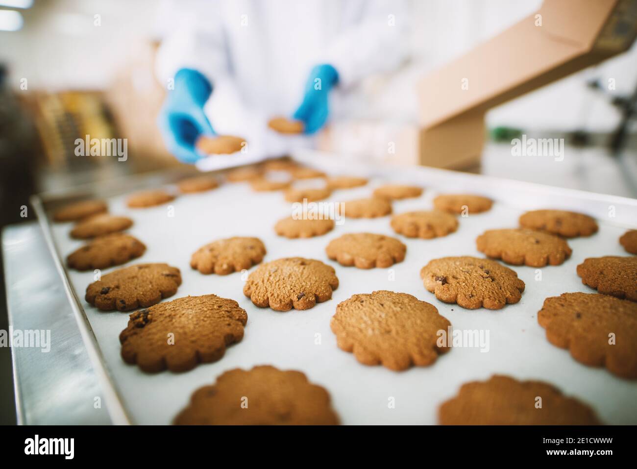 Closeup of fresh cookies made in food factory Stock Photo - Alamy