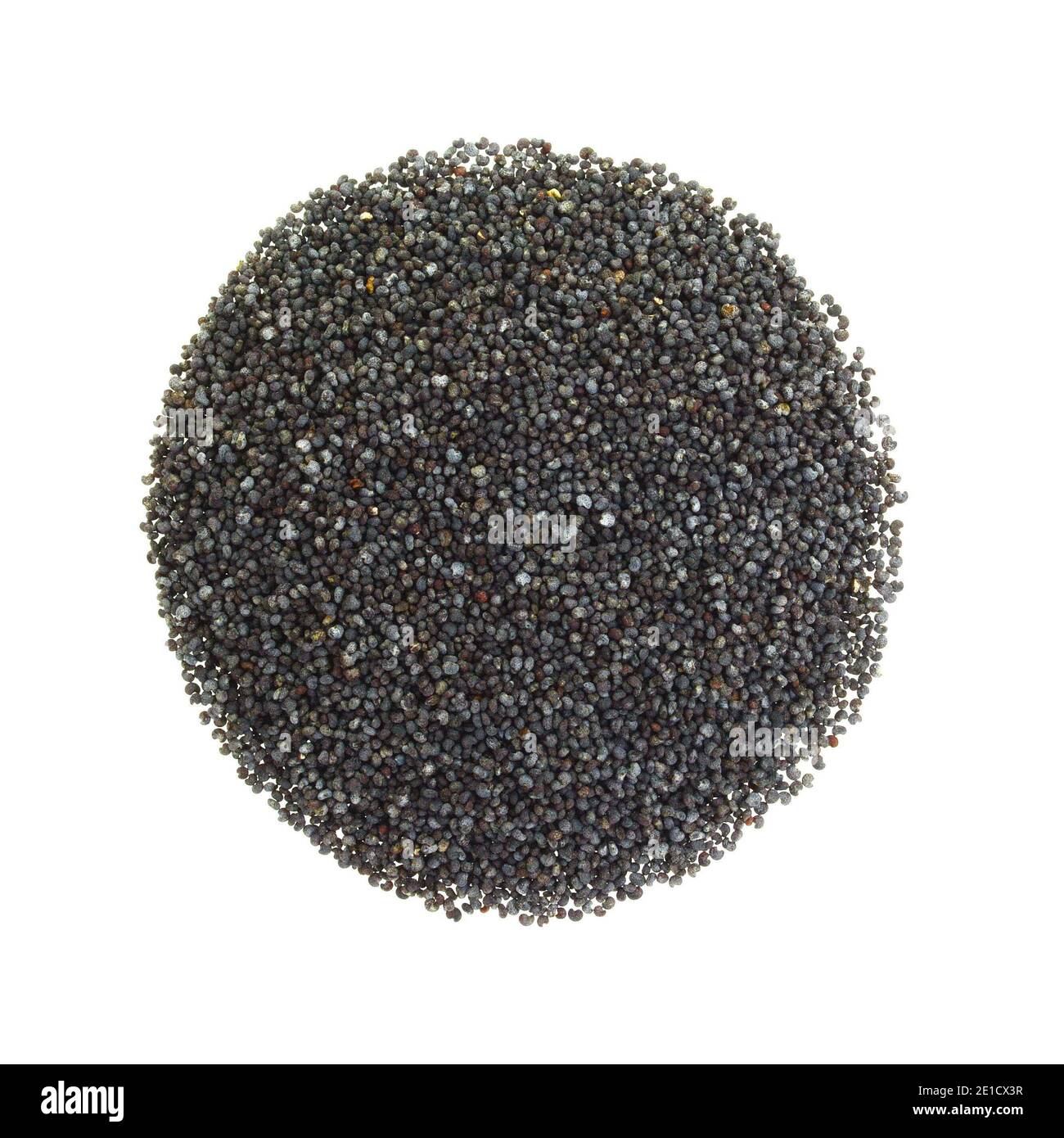 Poppy seeds isolated on white background. Heap of dry poppy seeds Stock ...