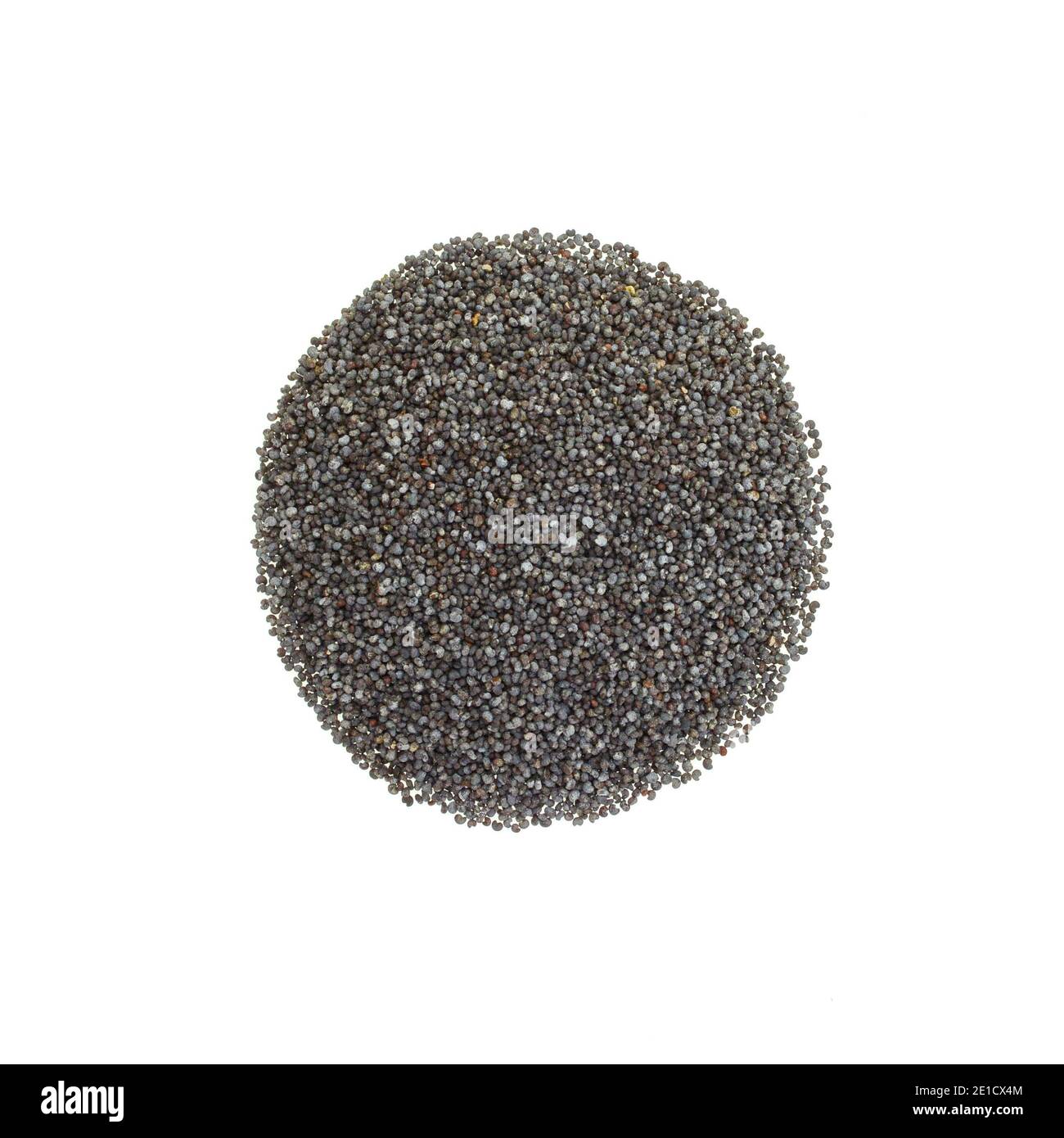 Poppy seeds isolated on white background. Heap of dry poppy seeds Stock ...