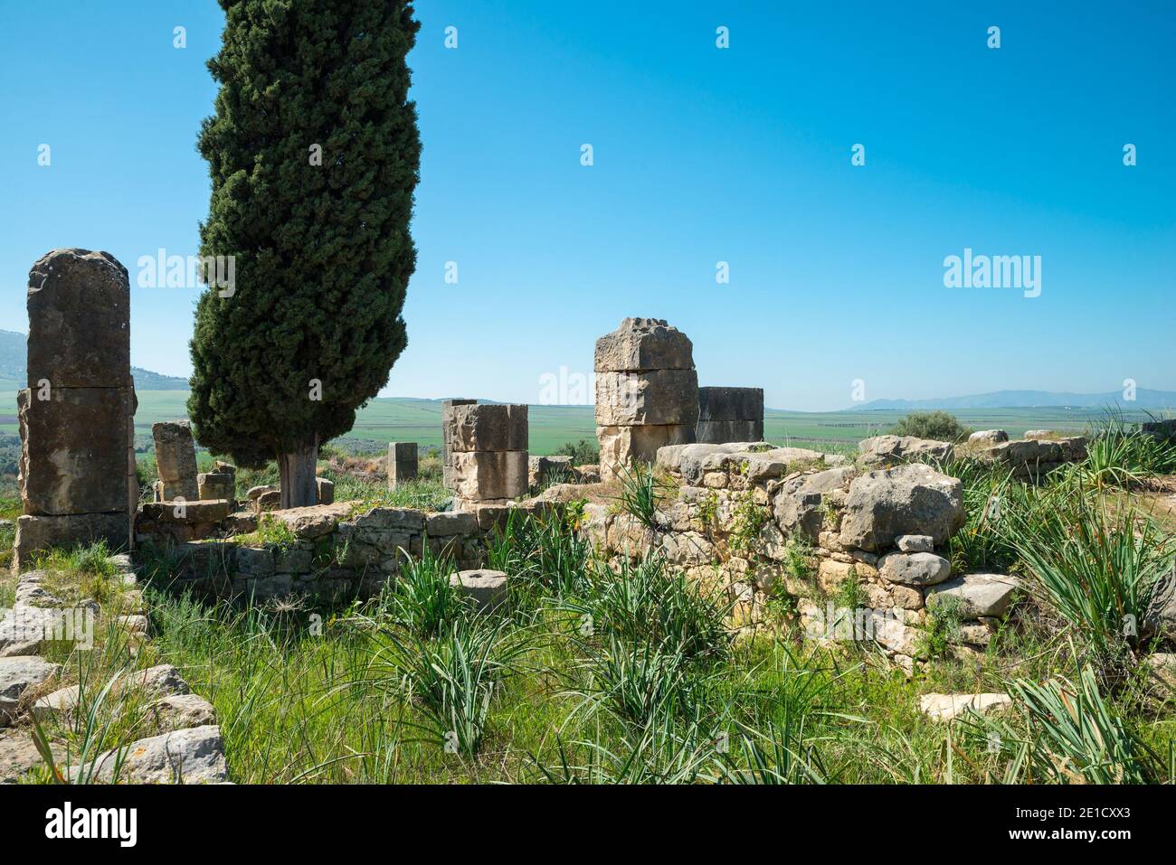 Volubilis ruins, Morocco Stock Photo - Alamy