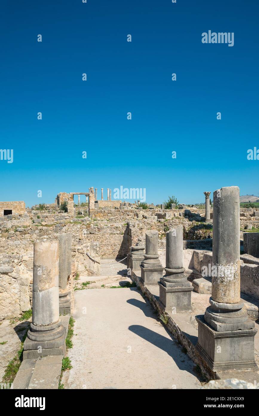 Volubilis ruins, Morocco Stock Photo - Alamy