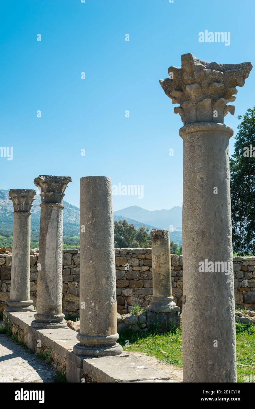 Volubilis ruins, Morocco Stock Photo - Alamy