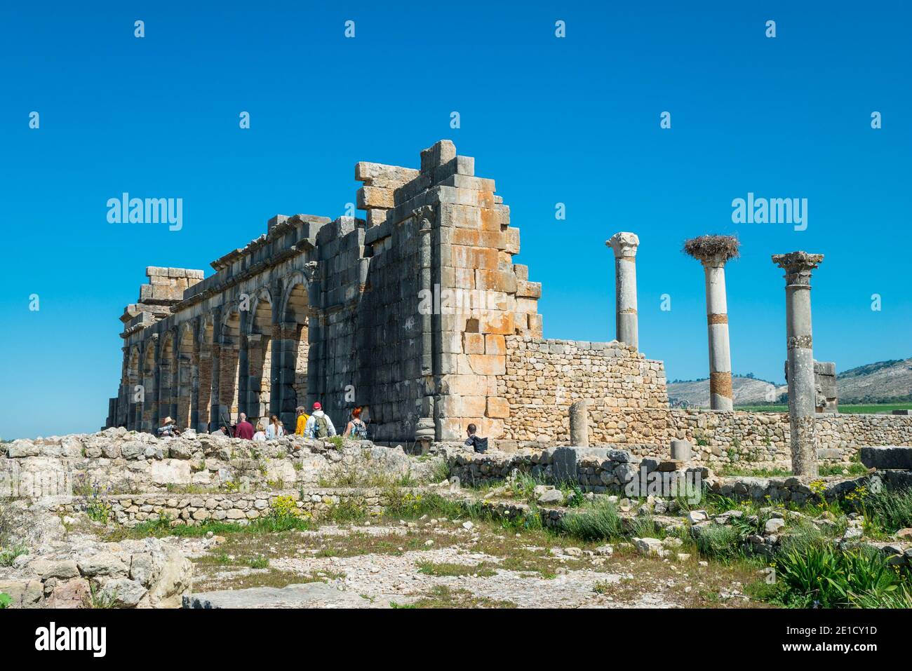 Volubilis ruins, Morocco Stock Photo - Alamy