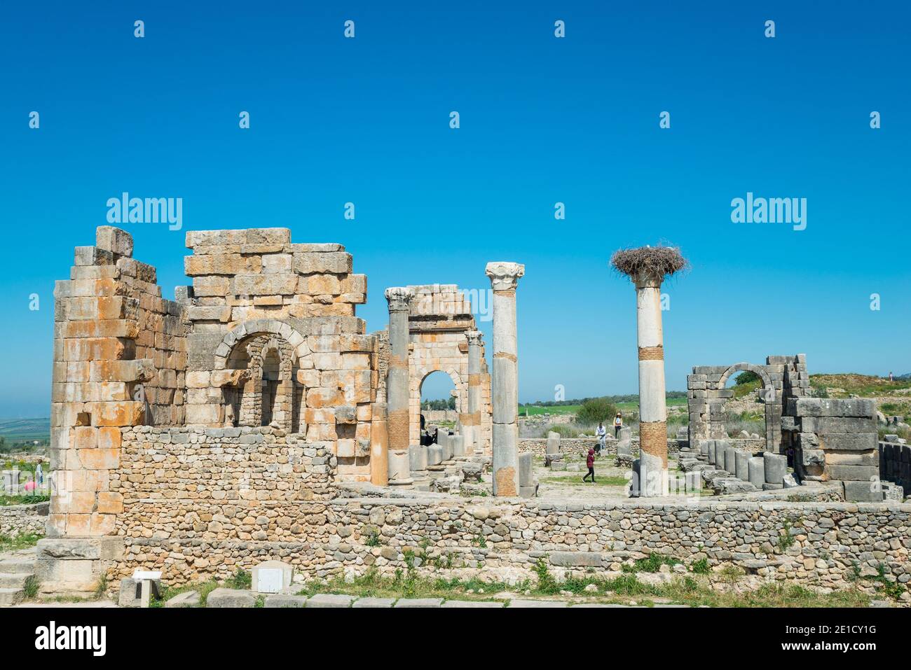 Volubilis ruins, Morocco Stock Photo - Alamy