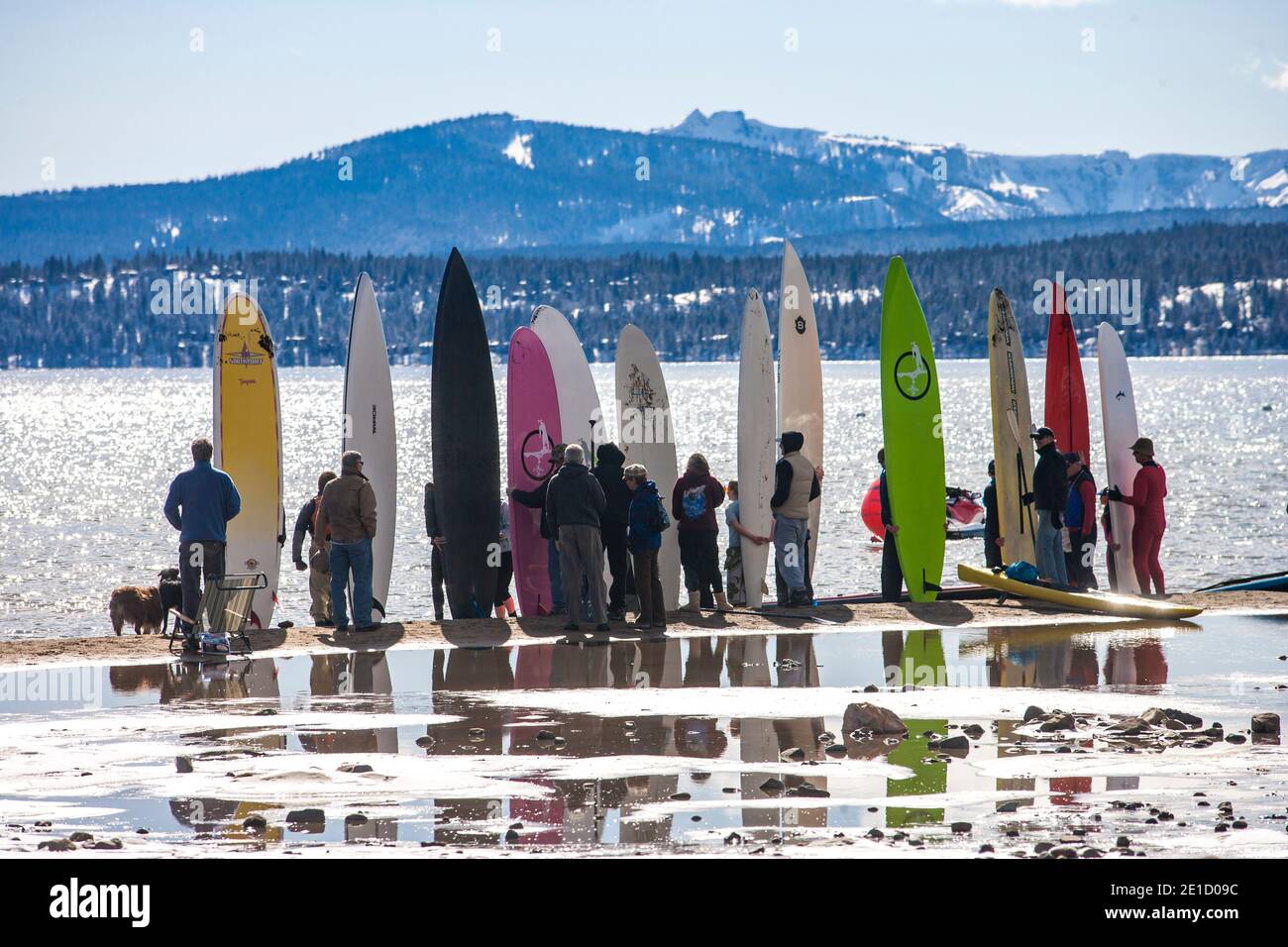 Group of paddleboarders on beach Stock Photo - Alamy