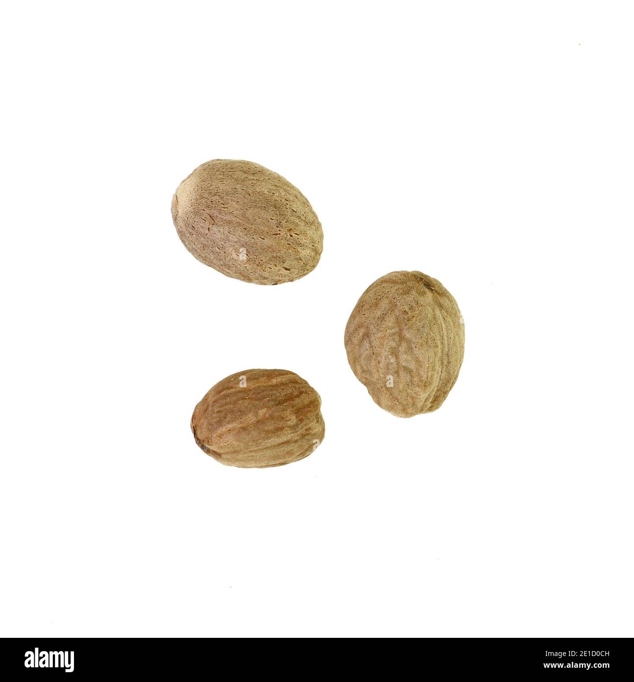 nutmeg isolated on white - Image Stock Photo - Alamy