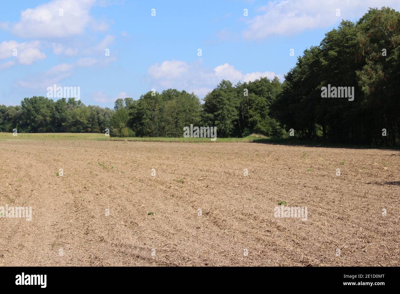Impressionen aus der Hallertau in Bayern Stock Photo - Alamy