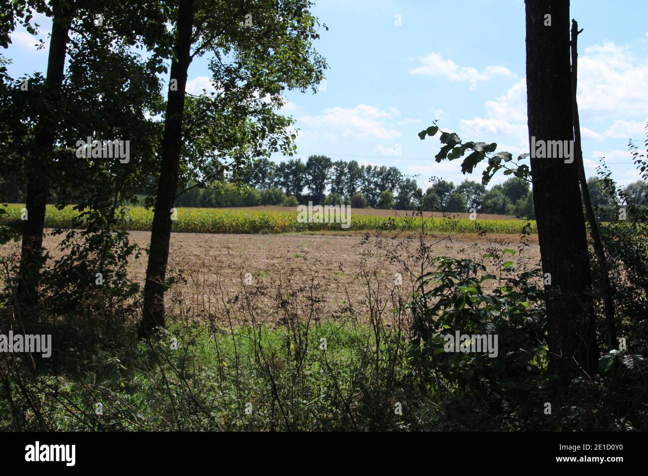 Impressionen aus der Hallertau in Bayern Stock Photo - Alamy