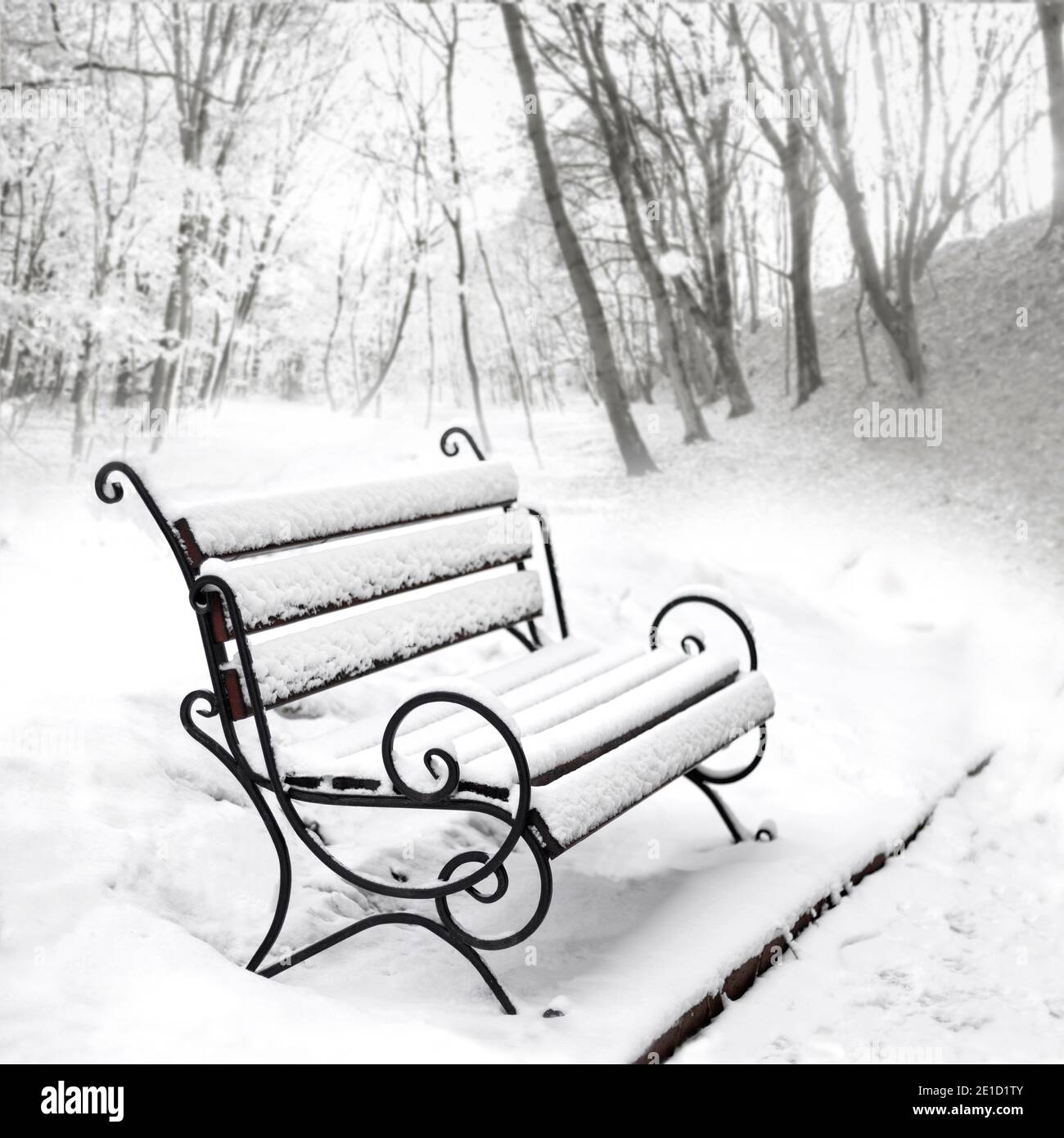 Park Bench Snow