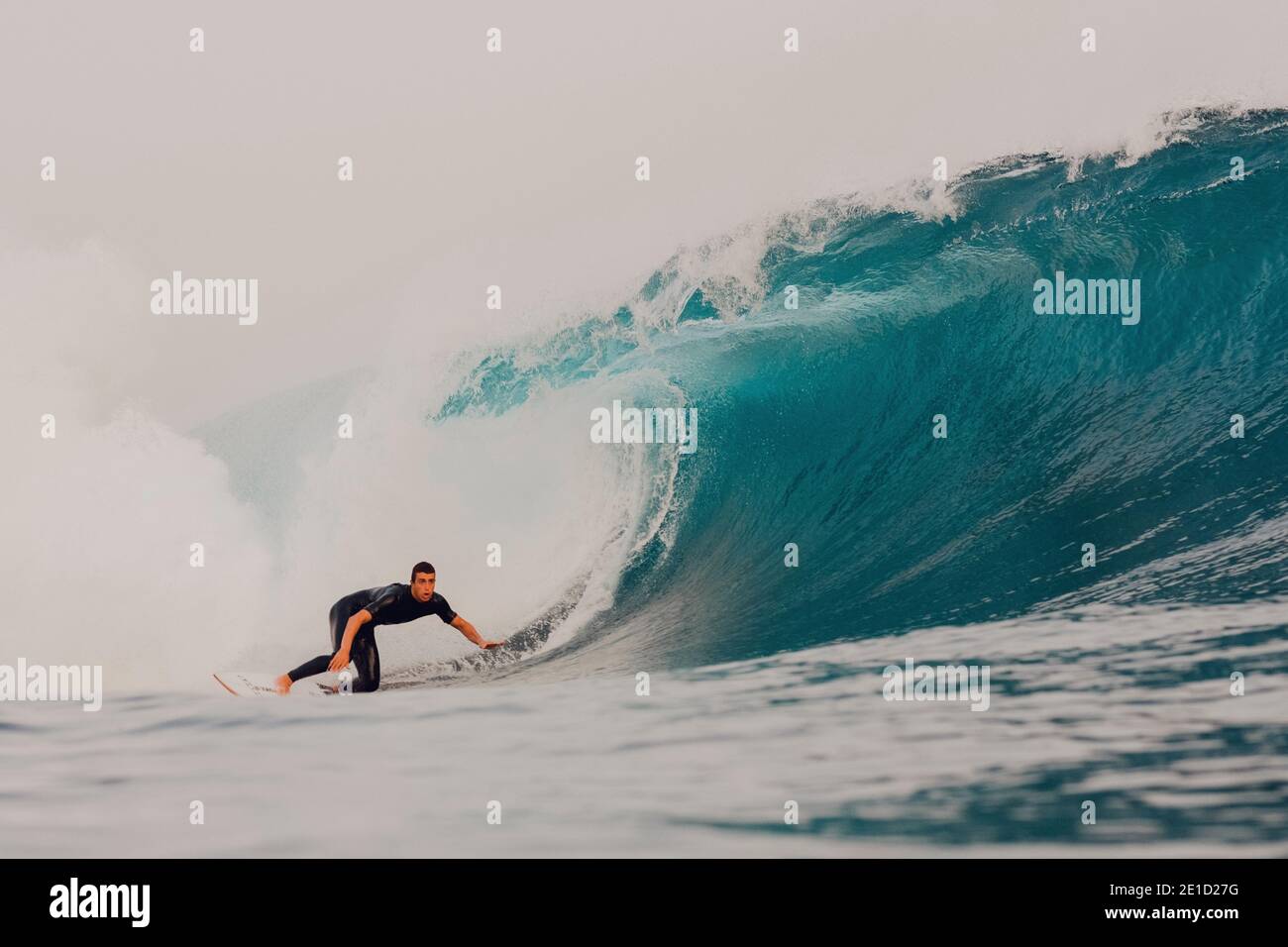 Surfer riding wave in sea Stock Photo - Alamy