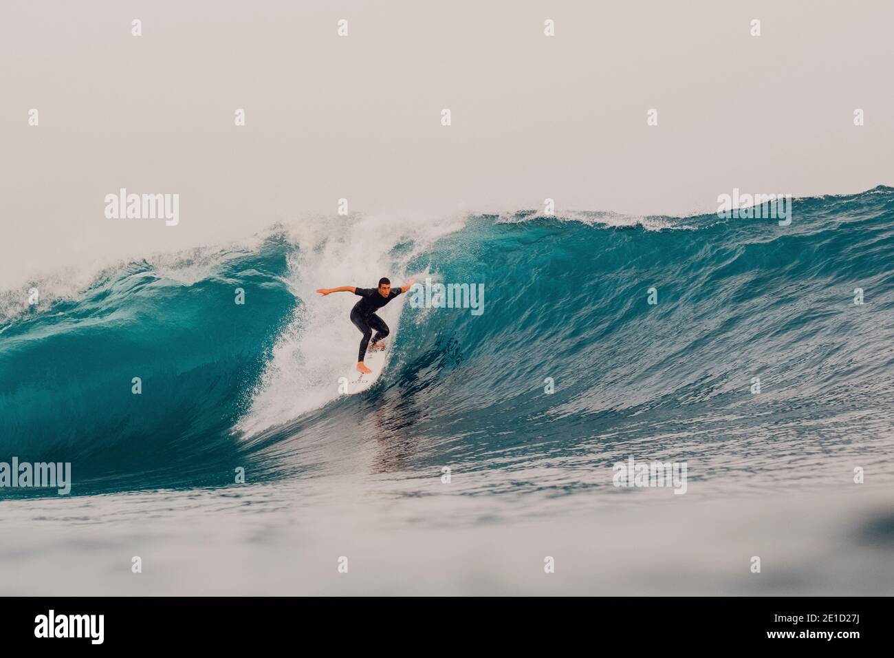 Surfer riding wave in sea Stock Photo - Alamy