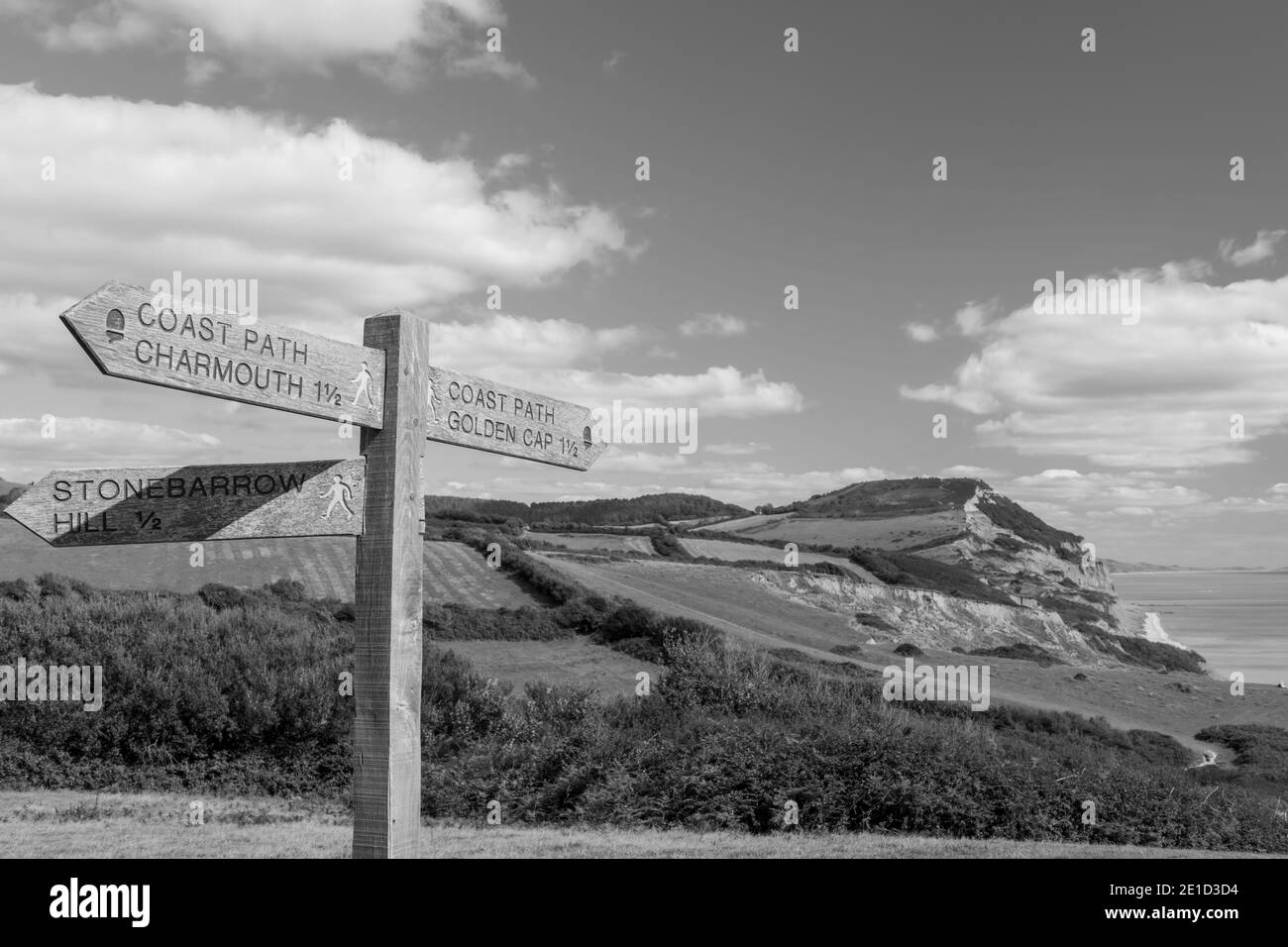 Close up of a footpath sign pointing to Golden Cap mountain on the ...