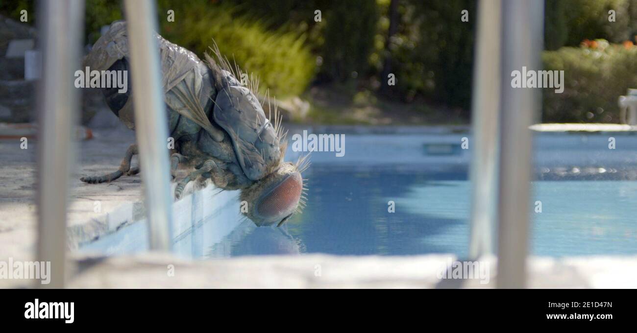 Mandibles (French: Mandibules) is a 2020 French-Belgian comedy film ...