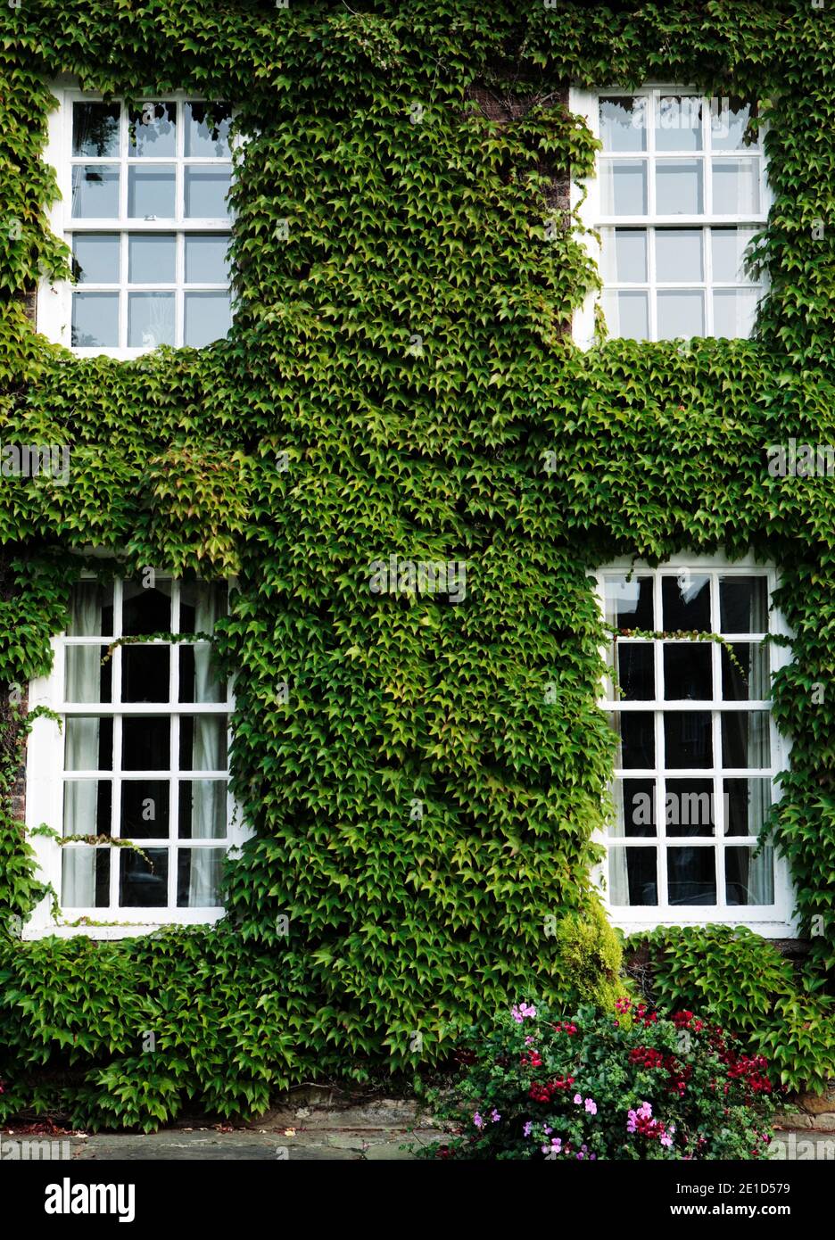 Ivy covered victorian house hi-res stock photography and images - Alamy