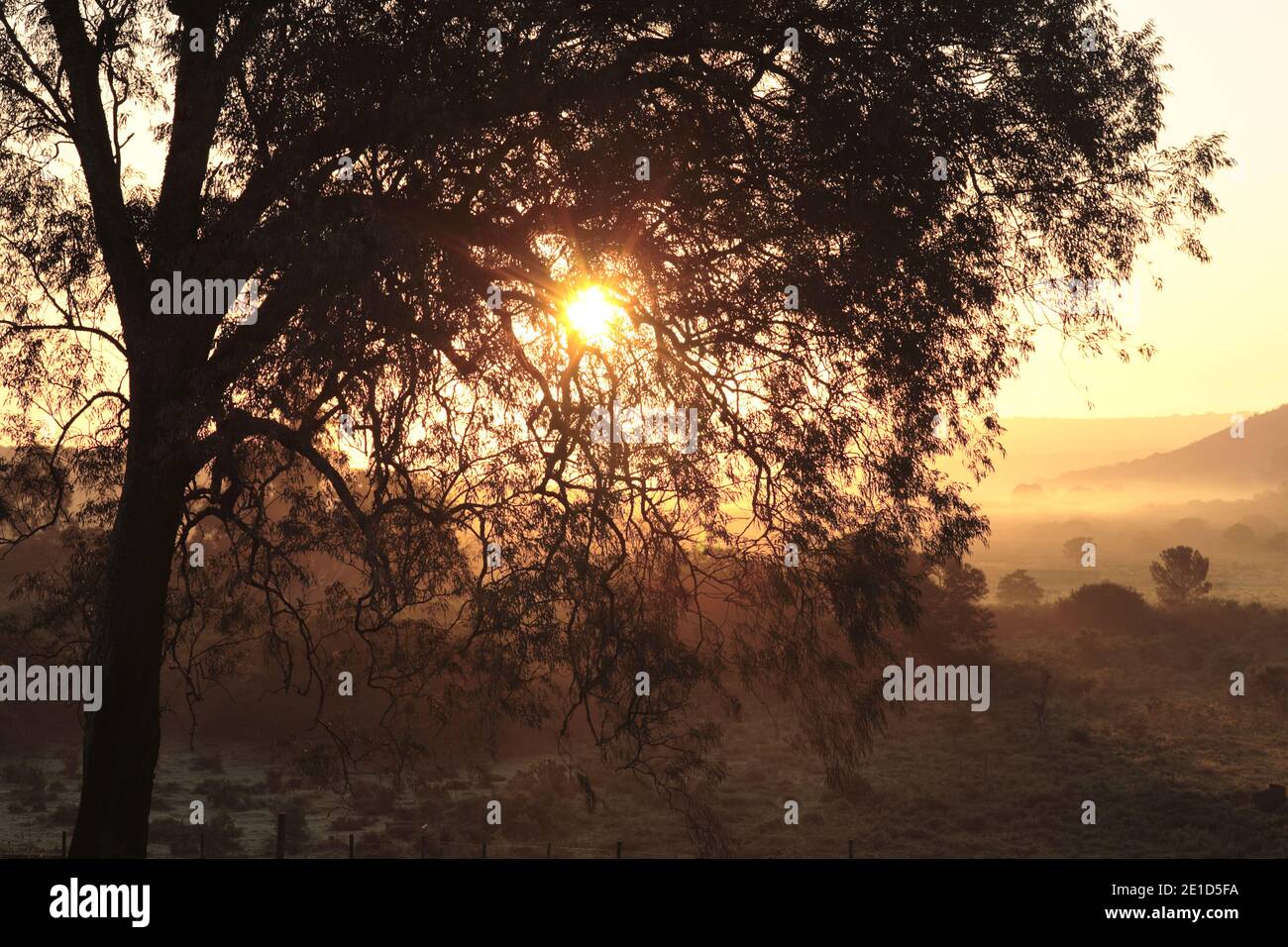 Riebeek eastern cape hi-res stock photography and images - Alamy