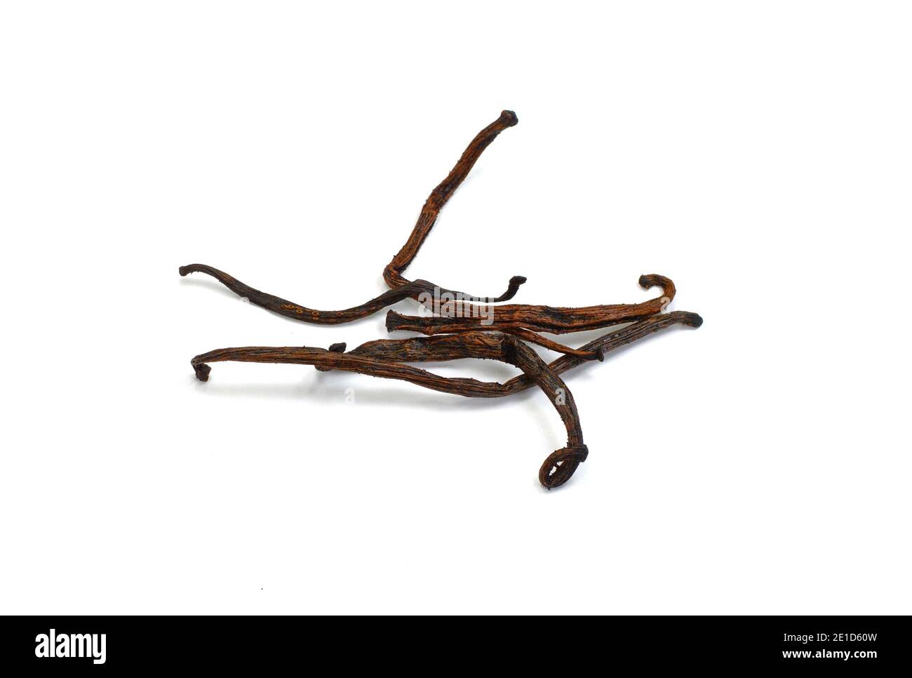 Dried vanilla stick isolated on a white background. Vanilla on white ...