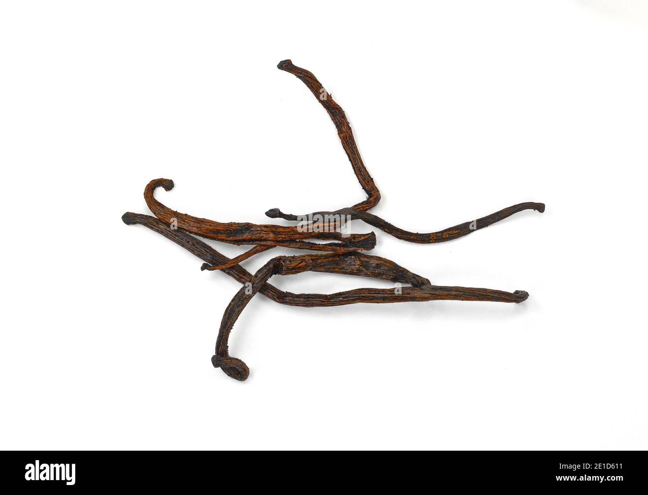 Dried vanilla stick isolated on a white background. Vanilla on white ...