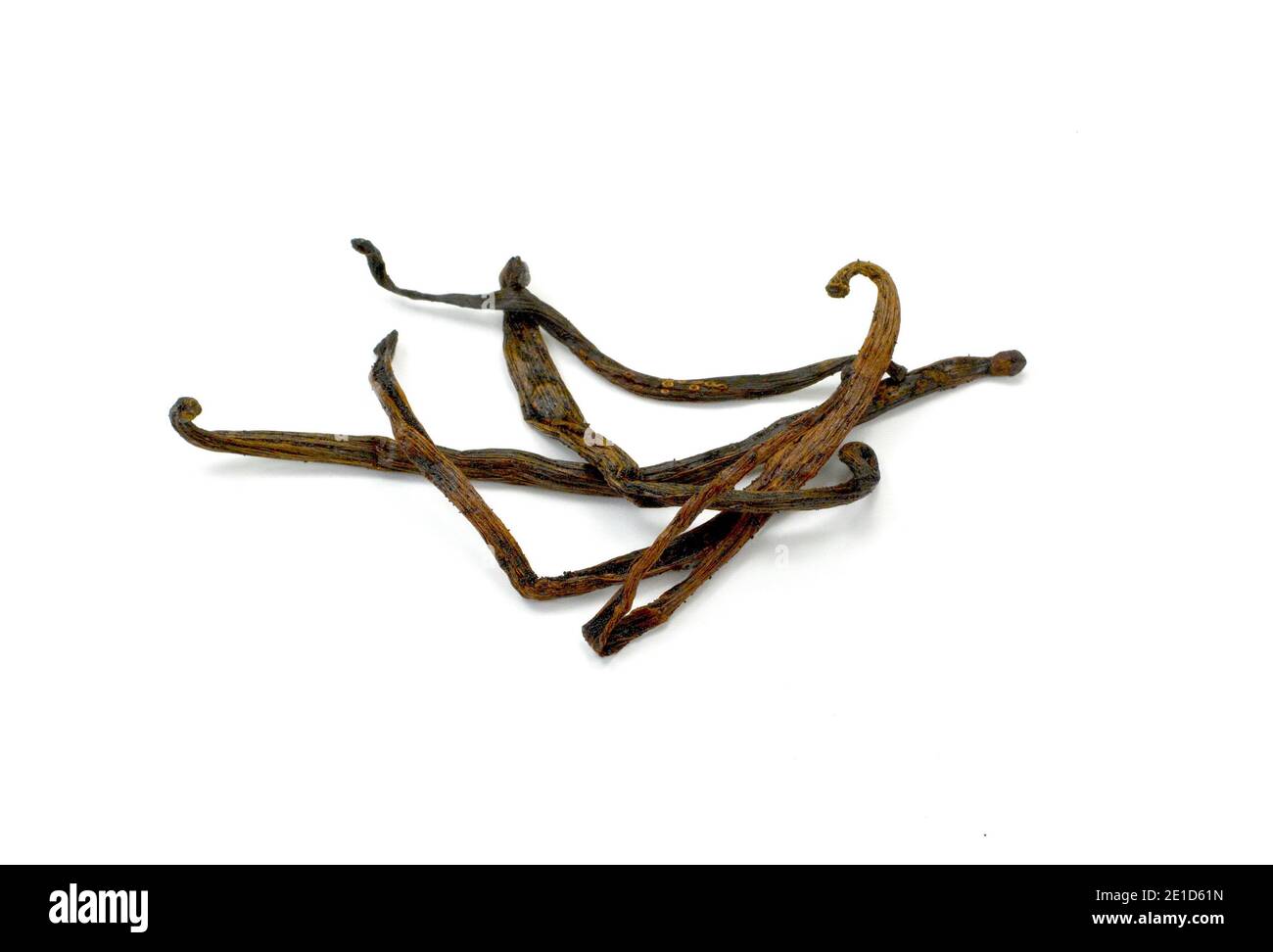 Dried vanilla stick isolated on a white background. Vanilla on white ...