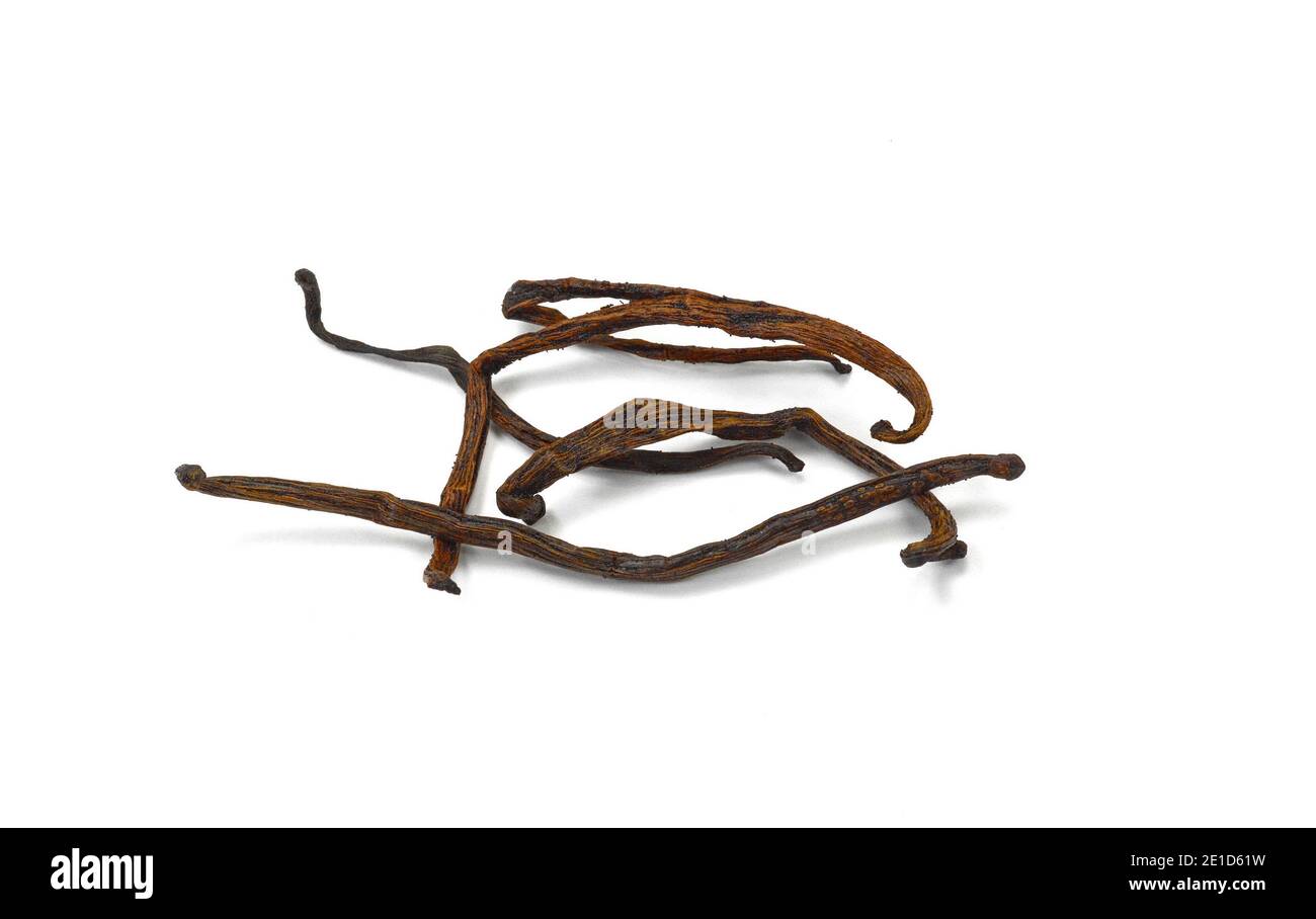 Dried vanilla stick isolated on a white background. Vanilla on white ...