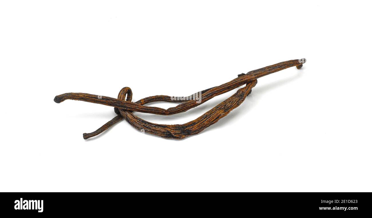 Dried vanilla stick isolated on a white background. Vanilla on white ...