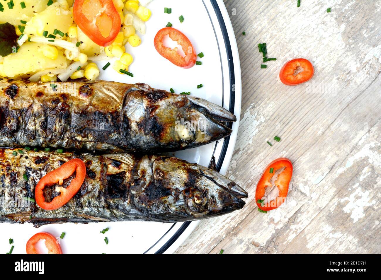 Grilled Mackerel fish on a white plate. Fatty, oily fish is an ...